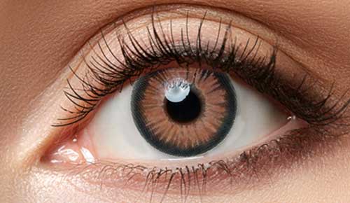 Honey Brown Contacts - Chic Brown Colored Contacts - Wicked Eyez